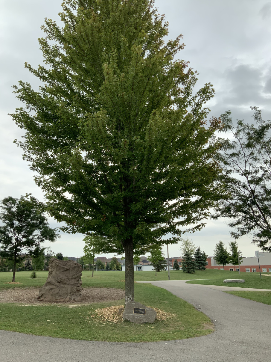 Tree Dedication Ceremony – Bahá’í Aurora, Ontario